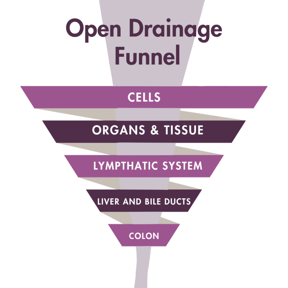 How are your Drainage Pathways? - Suzannah Jackson Nutrition