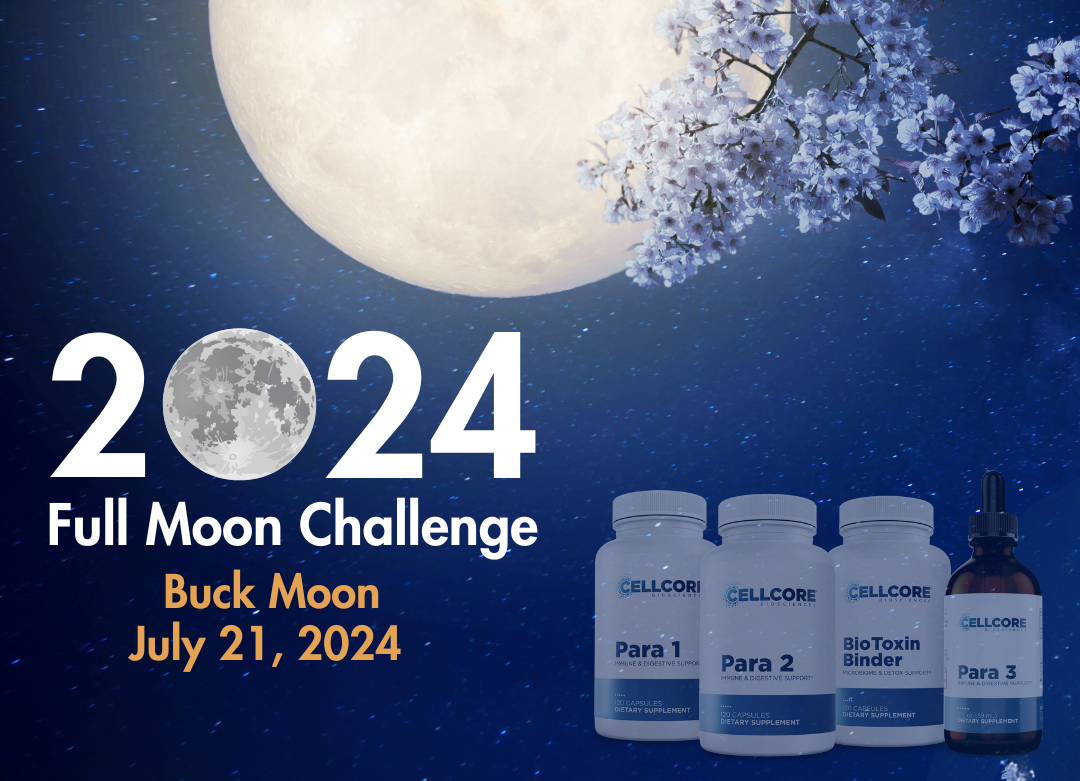 Full Moon Protocol - Suzannah Jackson Nutrition